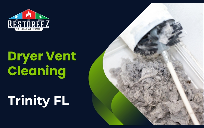 Dryer Vent Cleaning Trinity FL